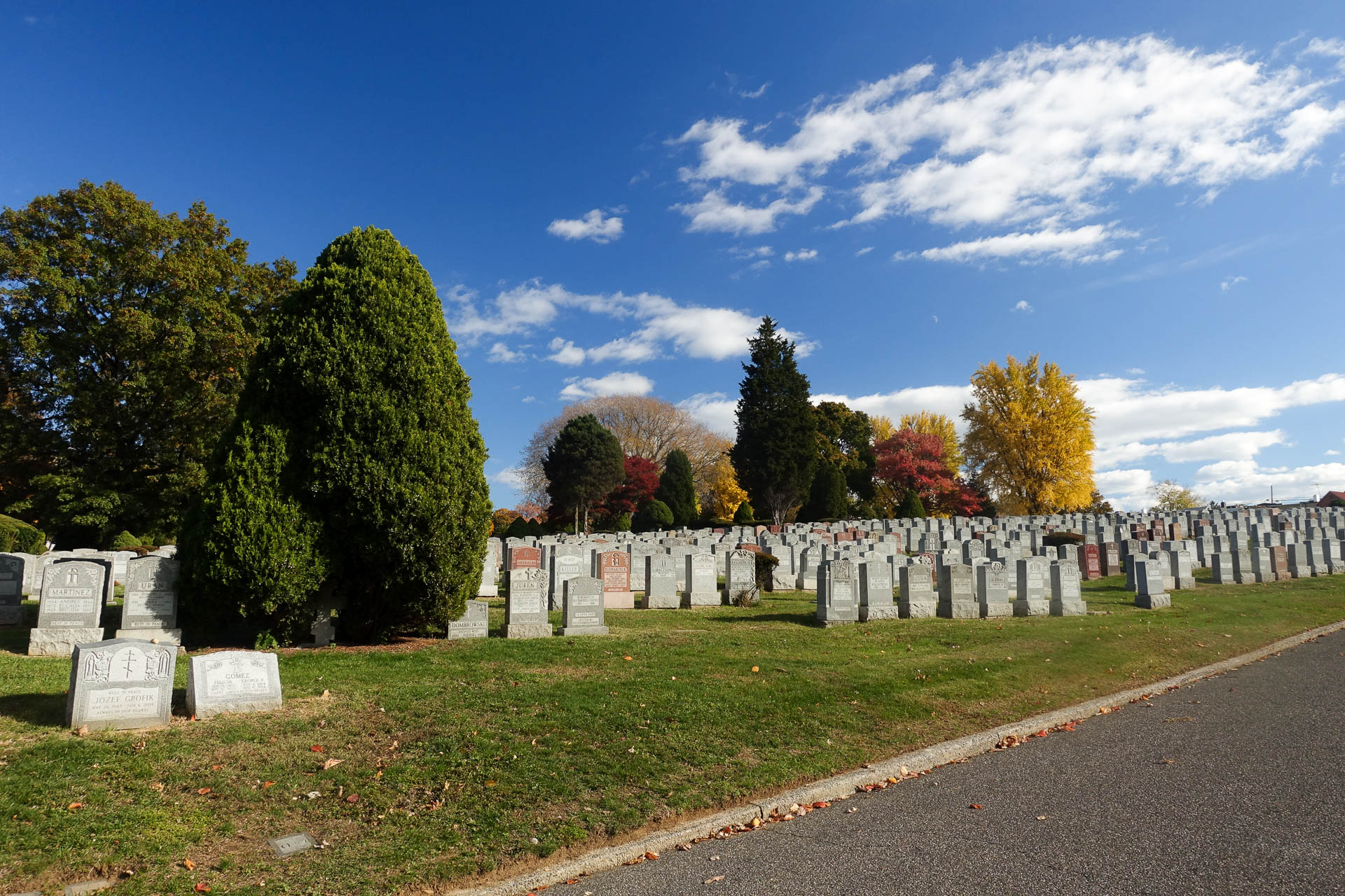 views in and around MT Olivet Cemetery in Maspeth, Queens – normalblog